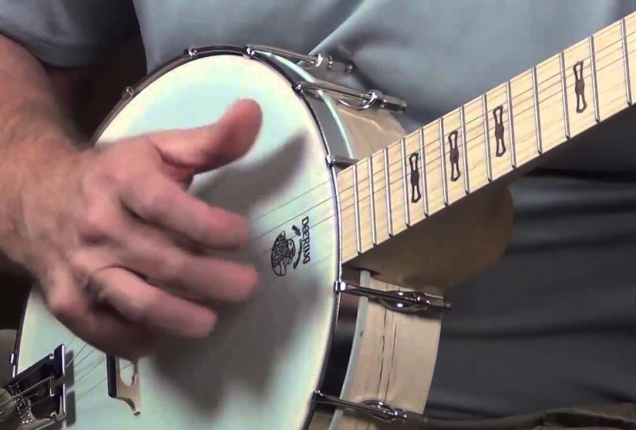 Harmonicas, Bluegrass Instruments, & Accessories – Lander's Music Store