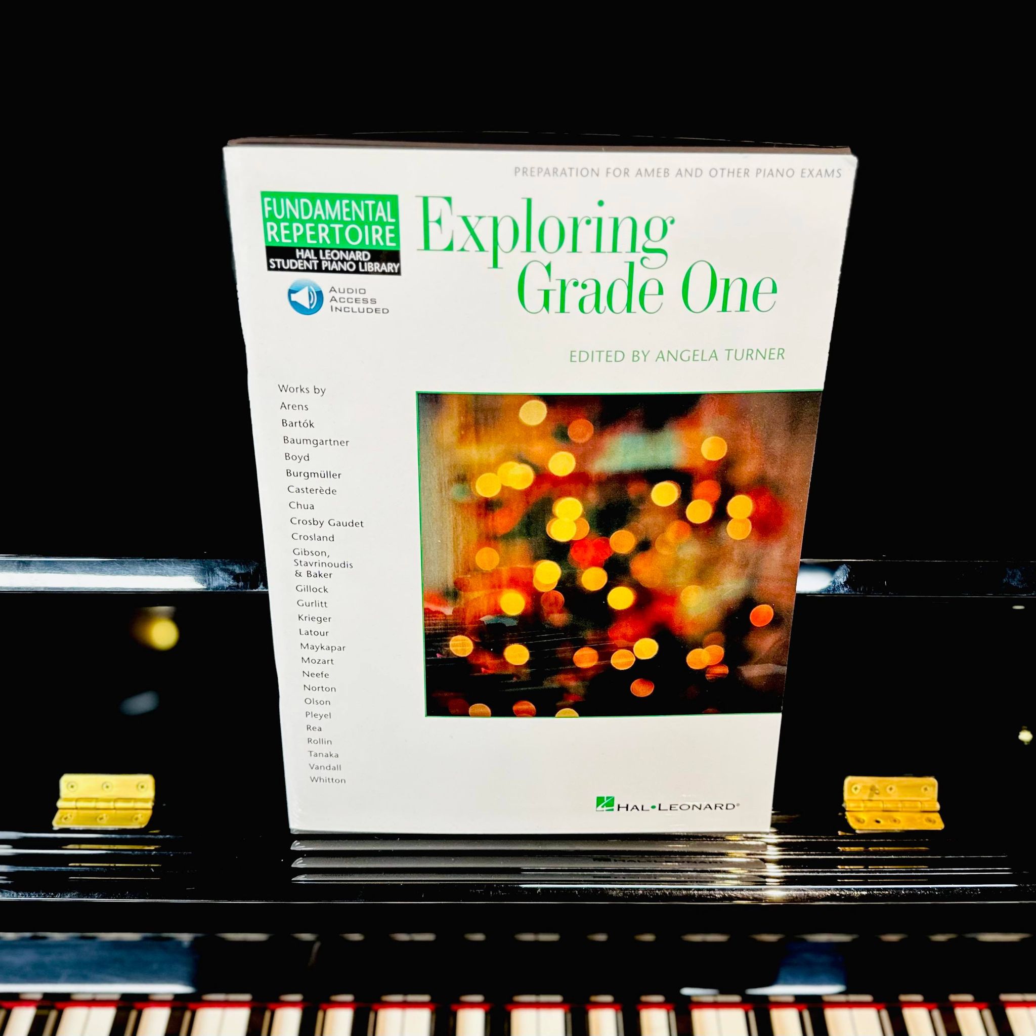 Exploring Series – Lander's Music Store