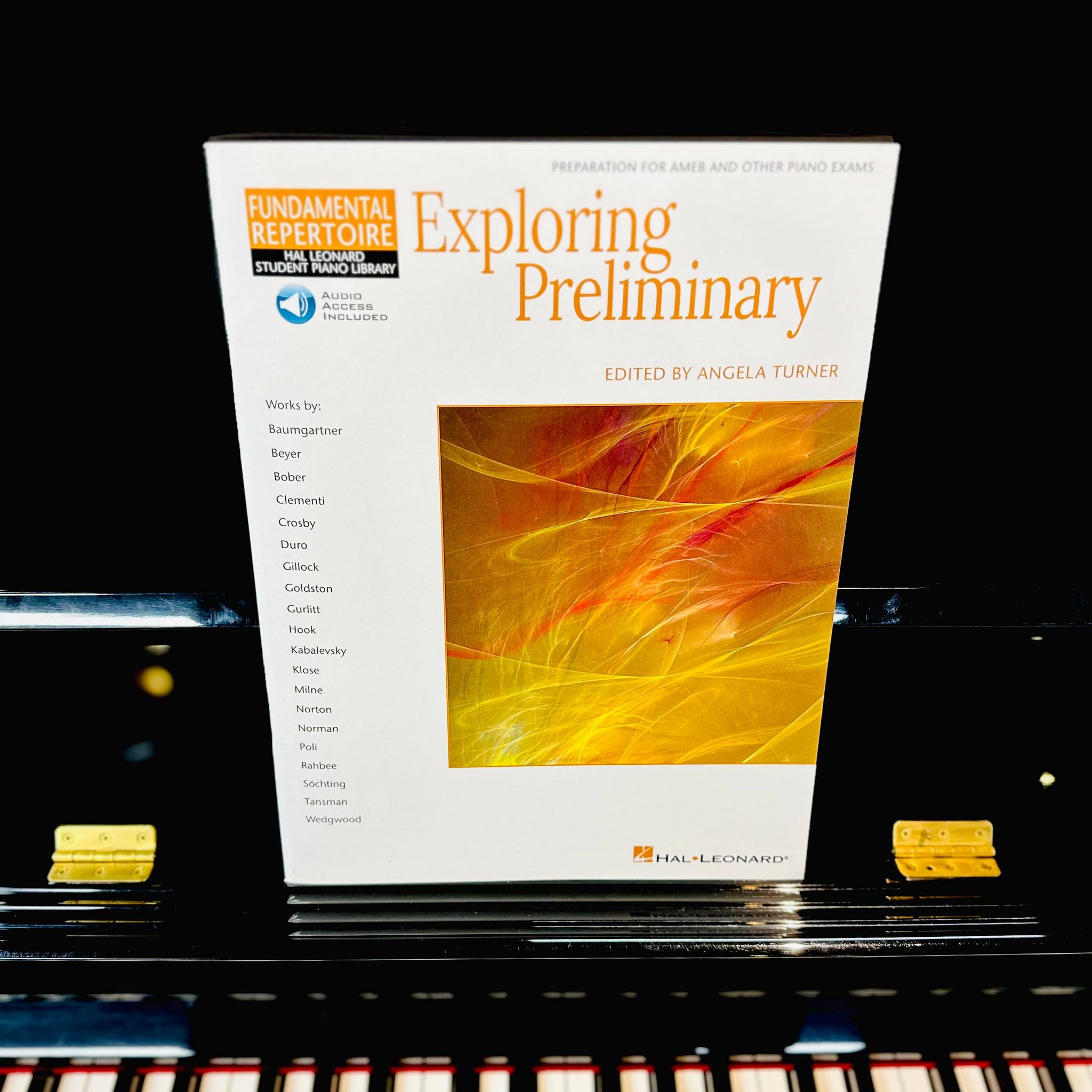 Exploring Series – Lander's Music Store